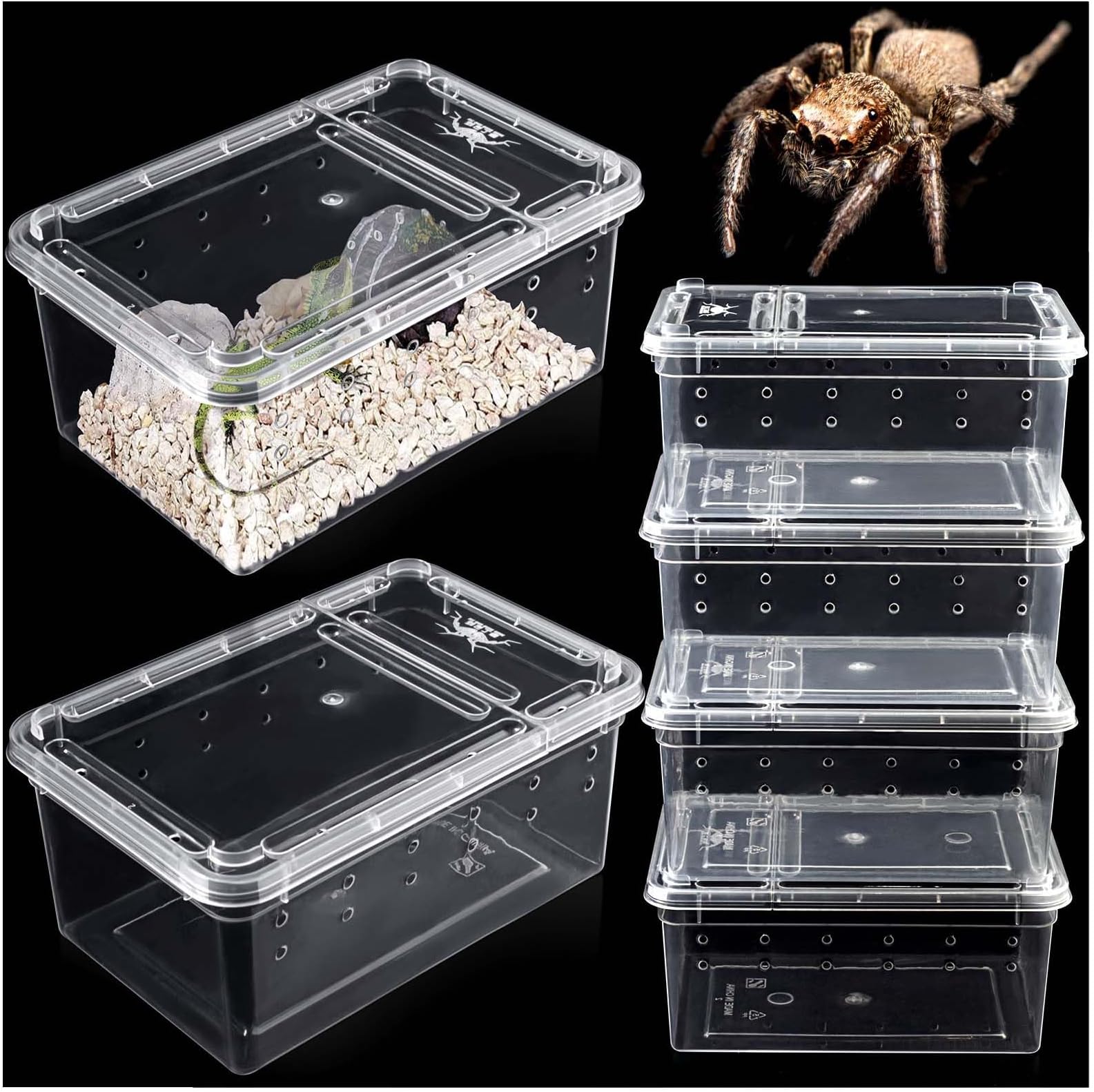 Amazon.com : 10 Pack Small Size Spider Terrariums Breeding Box Hatching ...