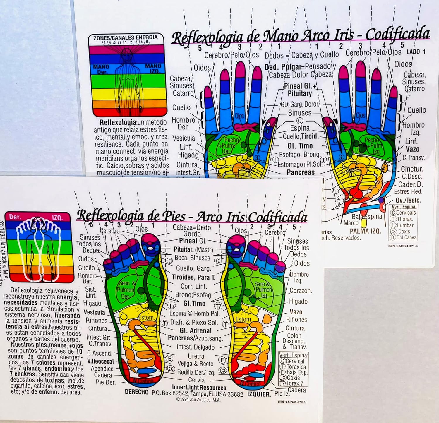 Set: 2 CHARTS: REFLEXOLOGIA de MANO & de PIES- Arco Iris® CodiUcada ...