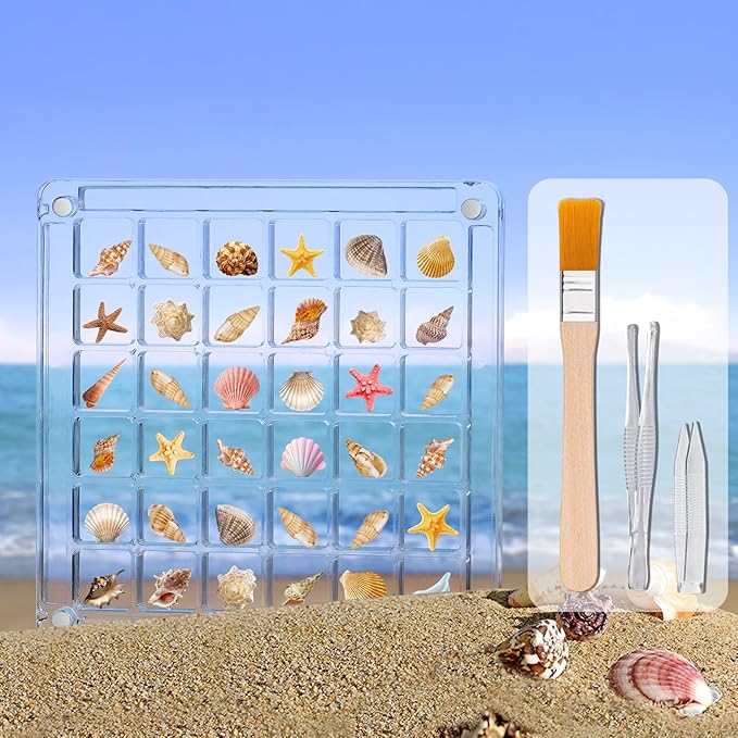 Amazon.com: Acrylic Magnetic Seashell Display Box - 36 Grids ...