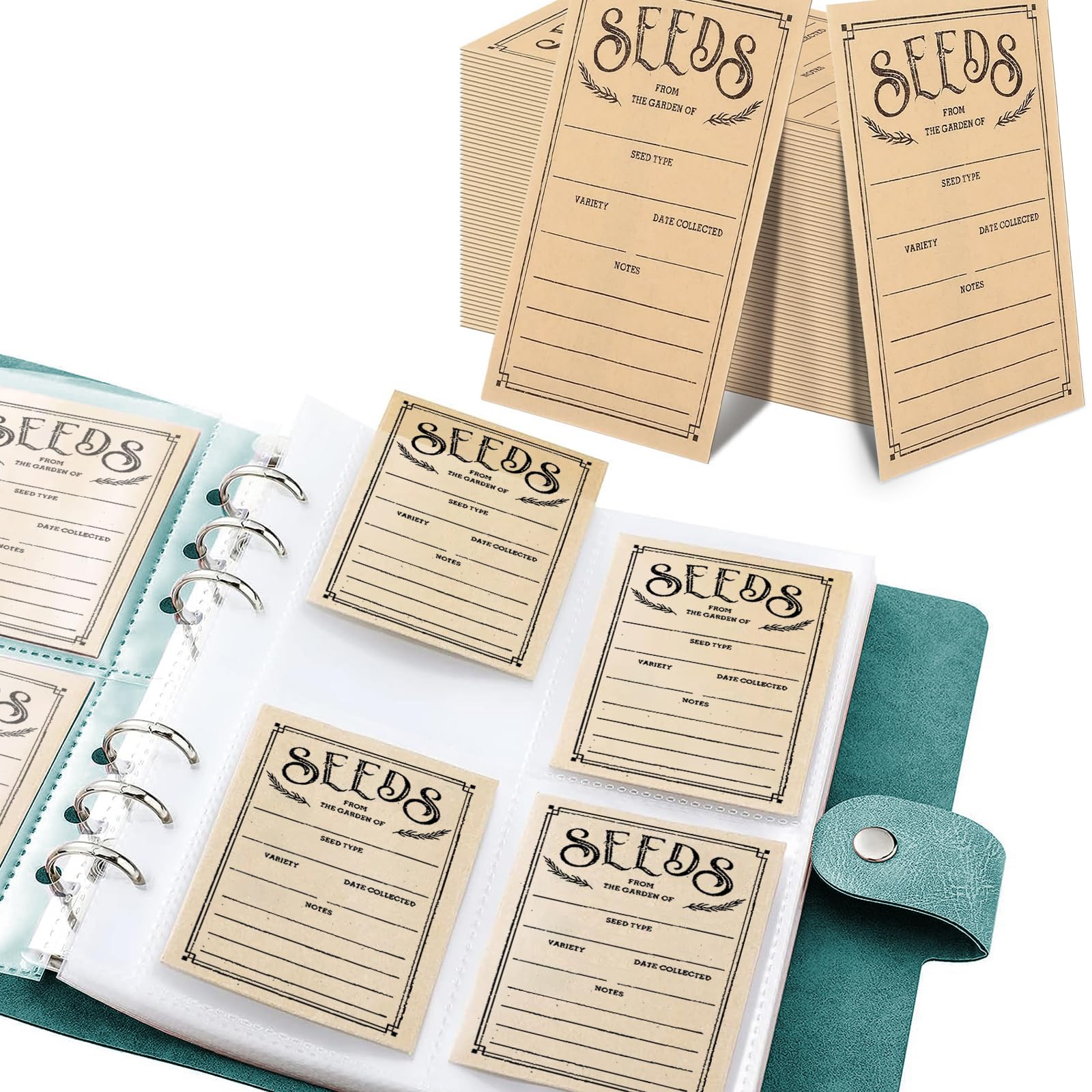 100Pc Seed Storage Envelopes, Self Sealing Seed Storage Organizers for ...