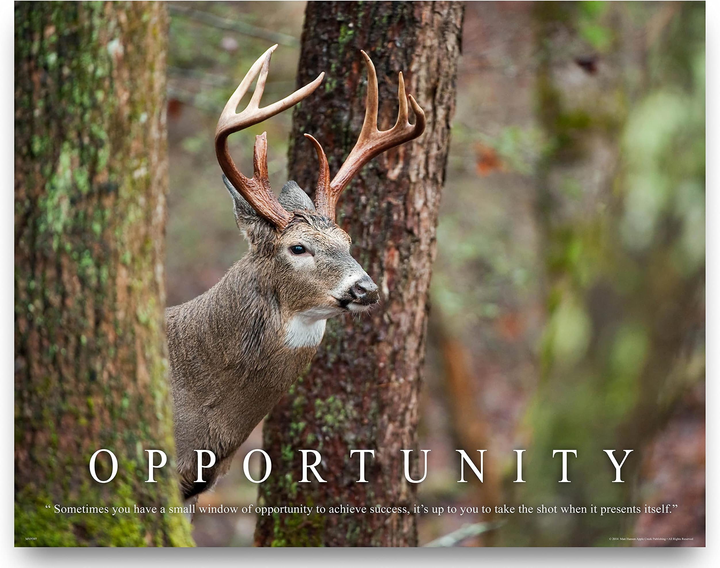 Amazon.com: Whitetail Deer Motivational Poster Art Print 11x14 Bow ...