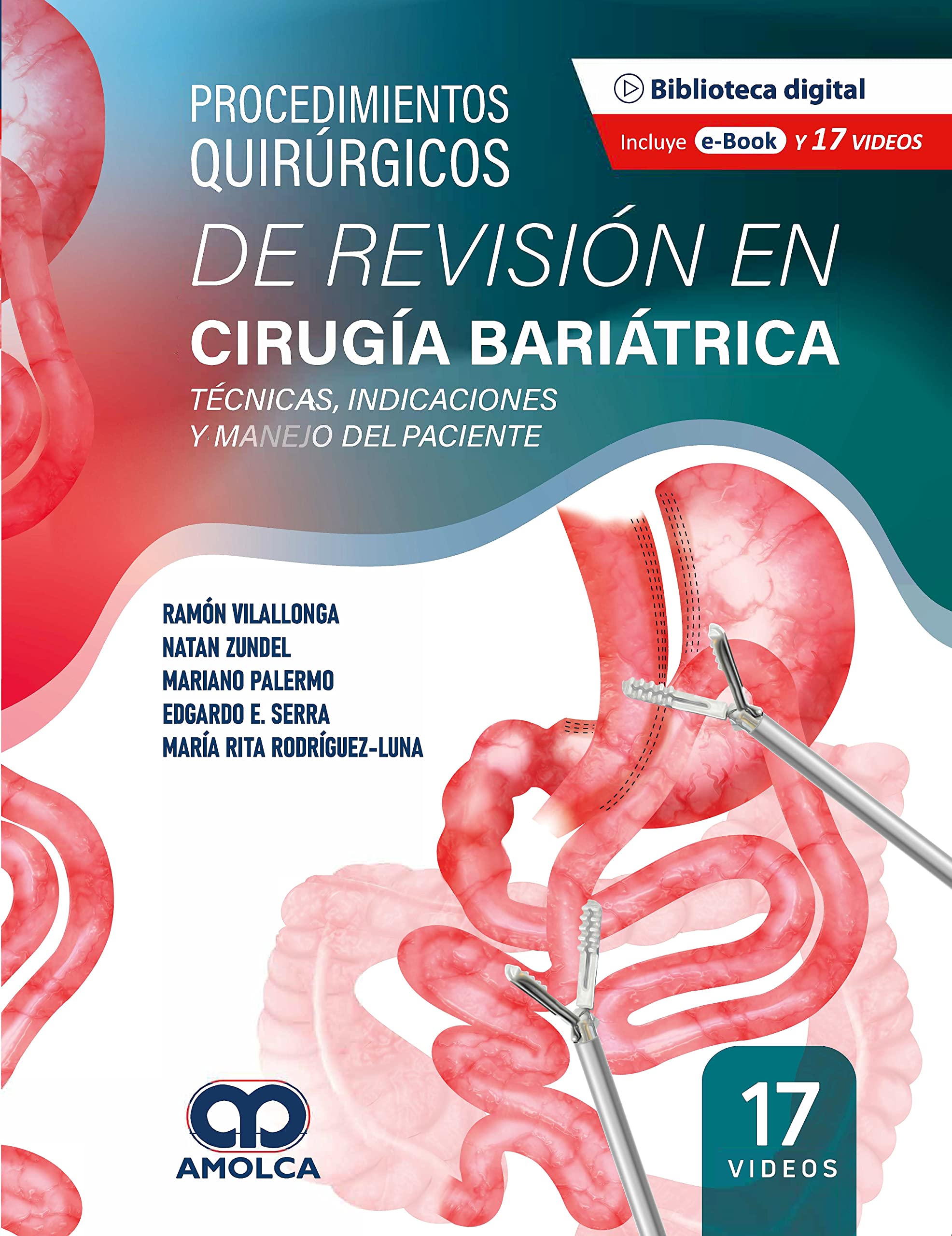 Cirugia Colorrectal Buccianti Pisa Italia Mapa Close Up Di Una Puntina