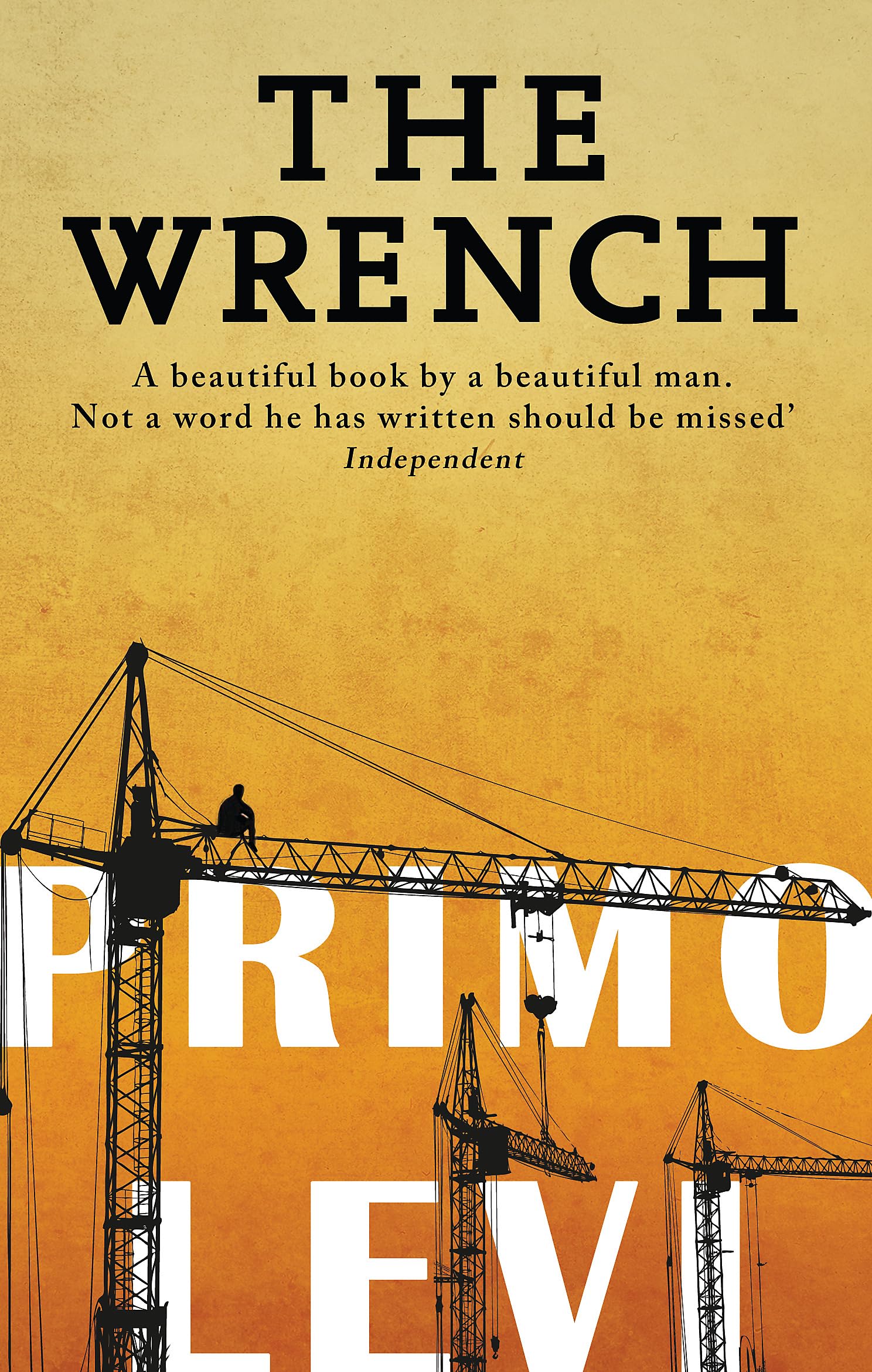 The Wrench: Amazon.co.uk: Levi, Primo: 9780349138633: Books