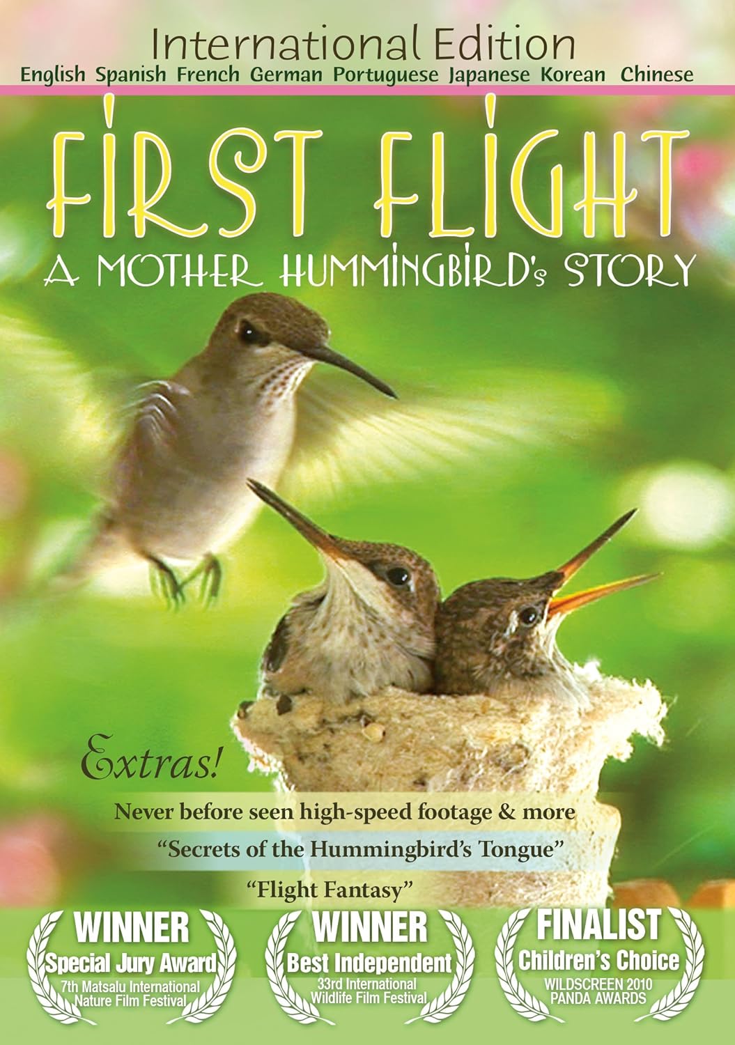 Amazon.com: First Flight: A Mother Hummingbird's Story : Honey the ...