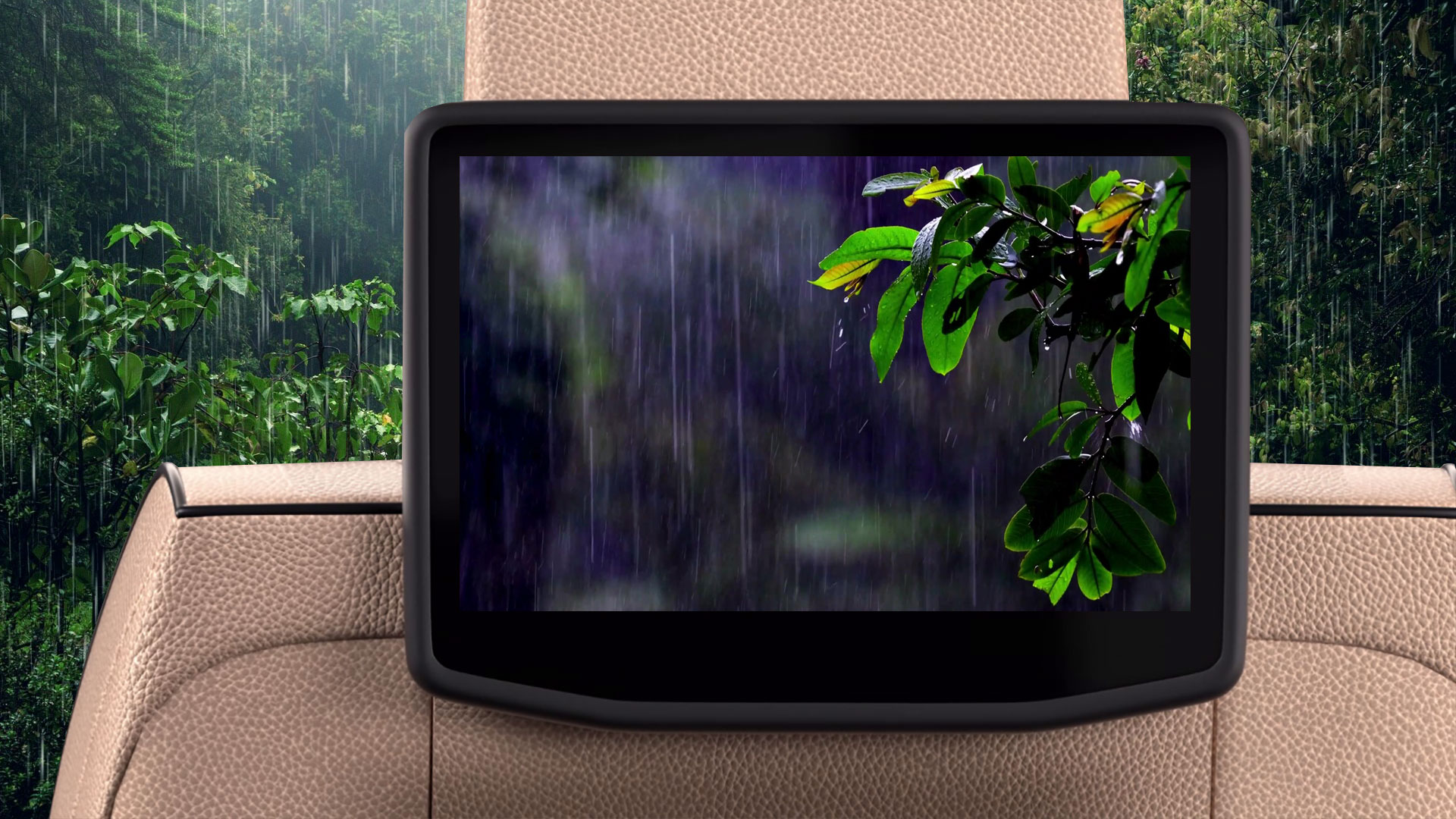 Tranquil Nights - Sleep Aid with Relaxing Rain and Thunder Sounds for ...