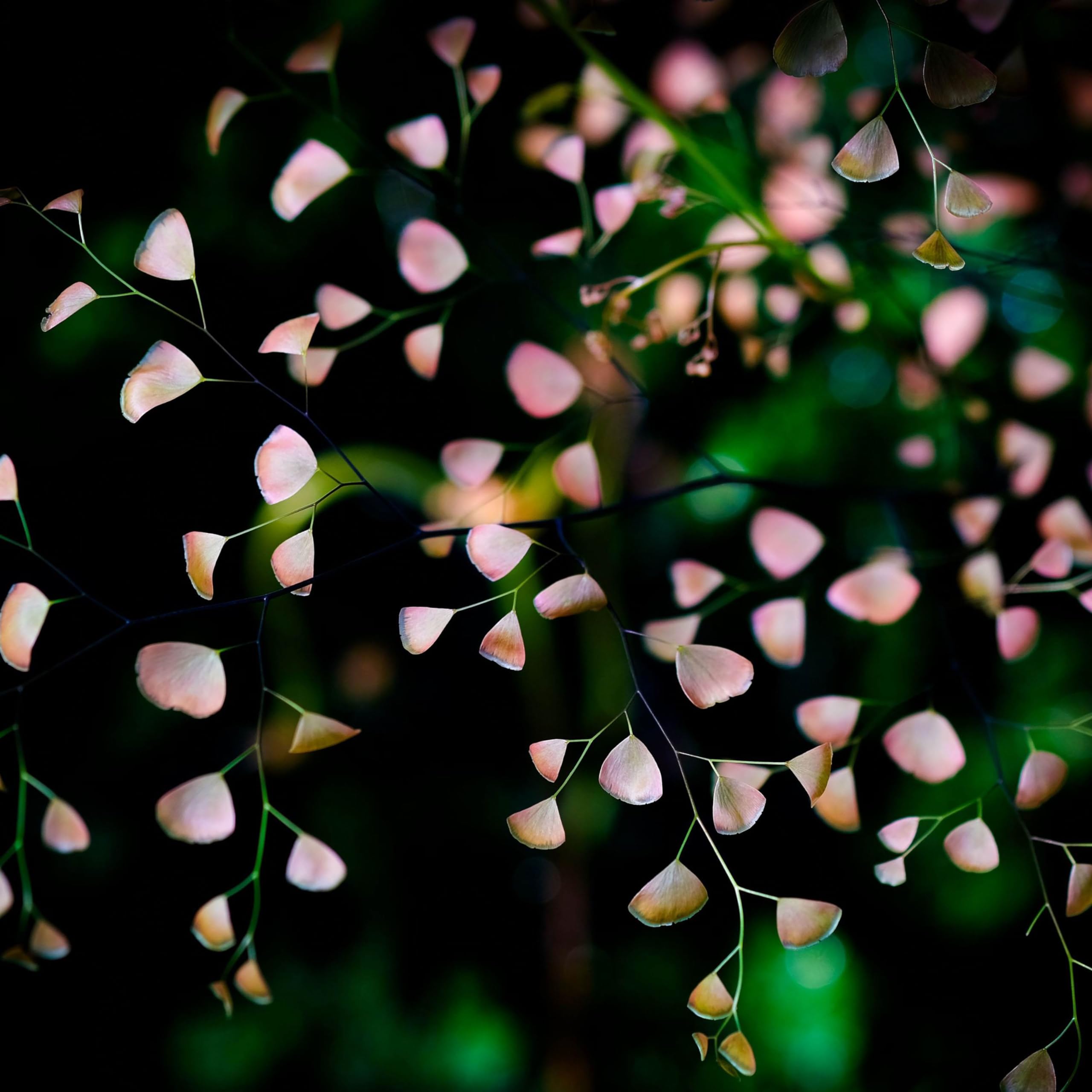 The September of My Years song by Christopher West from Frank Sinatra ...