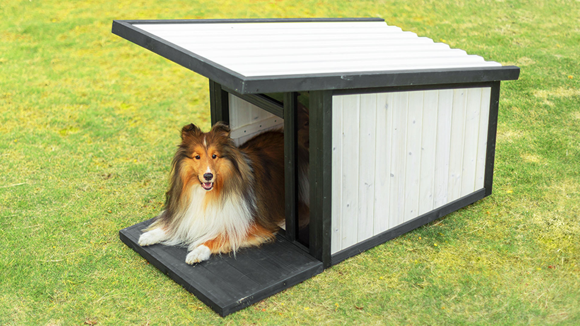 Cold Climate Dog House Designs How To Heat A Doghouse And Keep Your