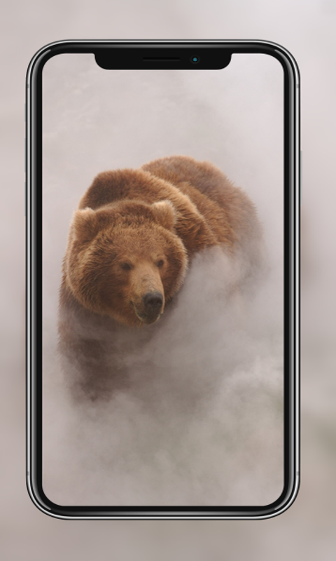 Bear Wallpaper HD:Amazon.com.br:Appstore for Android