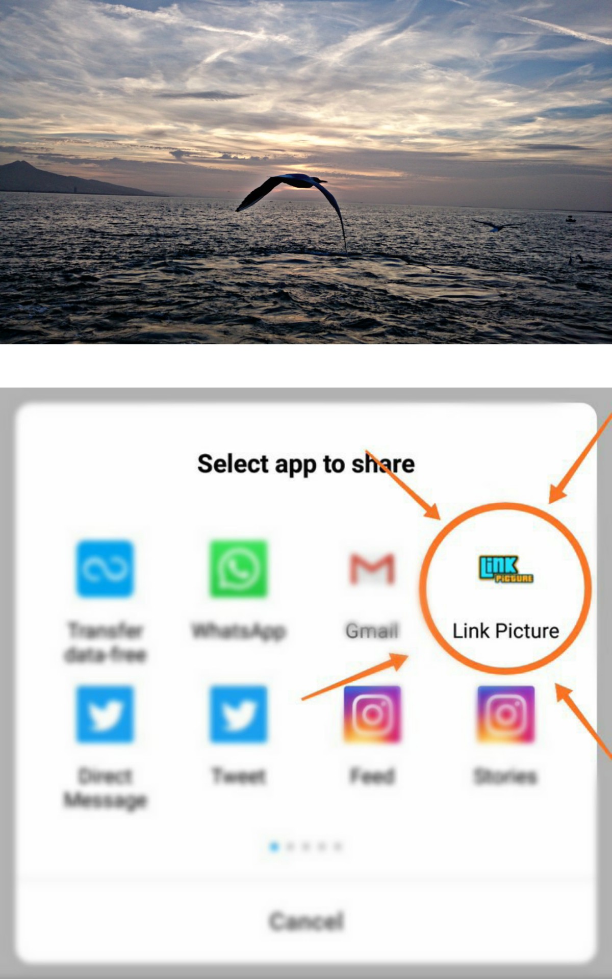Link Picture - Upload Images - Free Image Hosting - App on Amazon Appstore