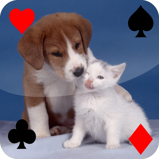 Baby Animal Solitaire - App on Amazon Appstore