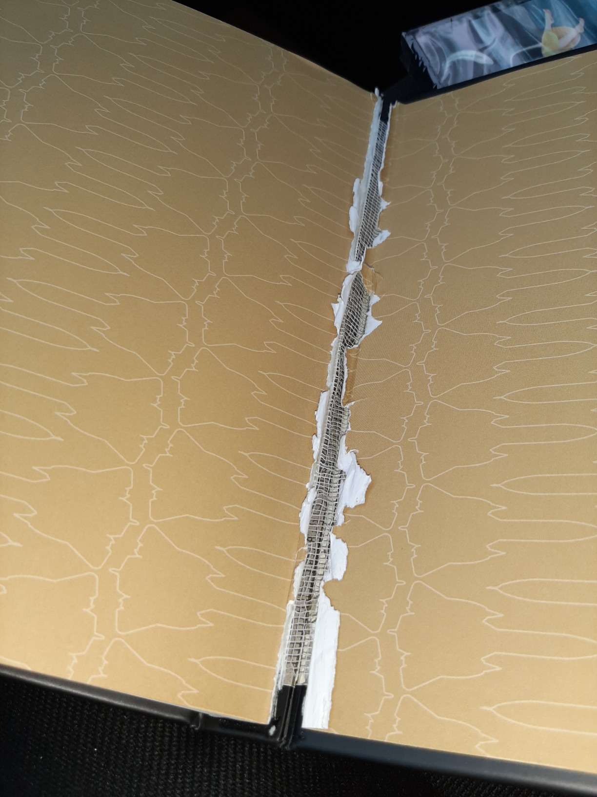 Lockheed SR-71 Blackbird: The Illustrated History of America's ...