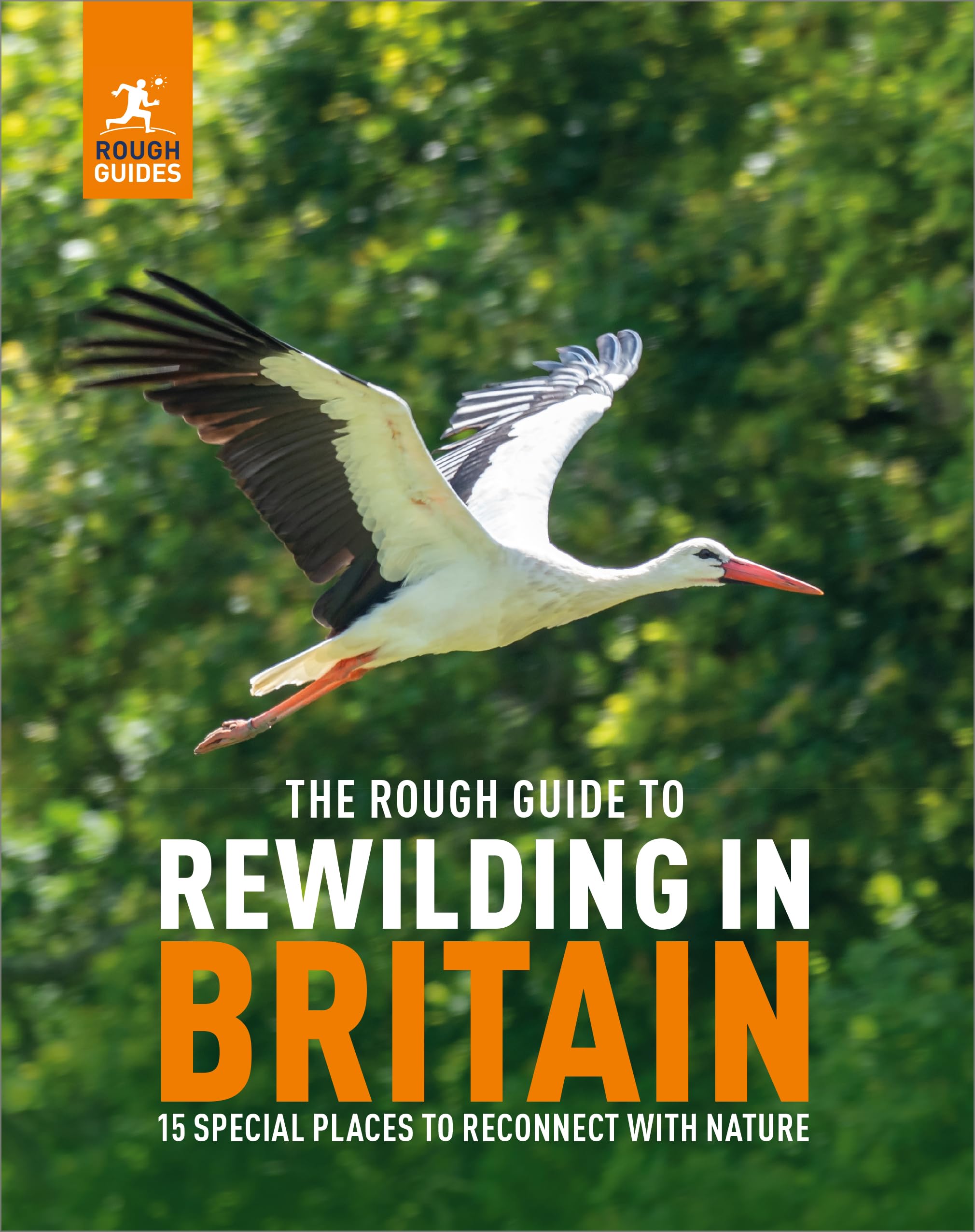 The Rough Guide to Rewilding in Britain: 15 Special Places to Reconnect ...