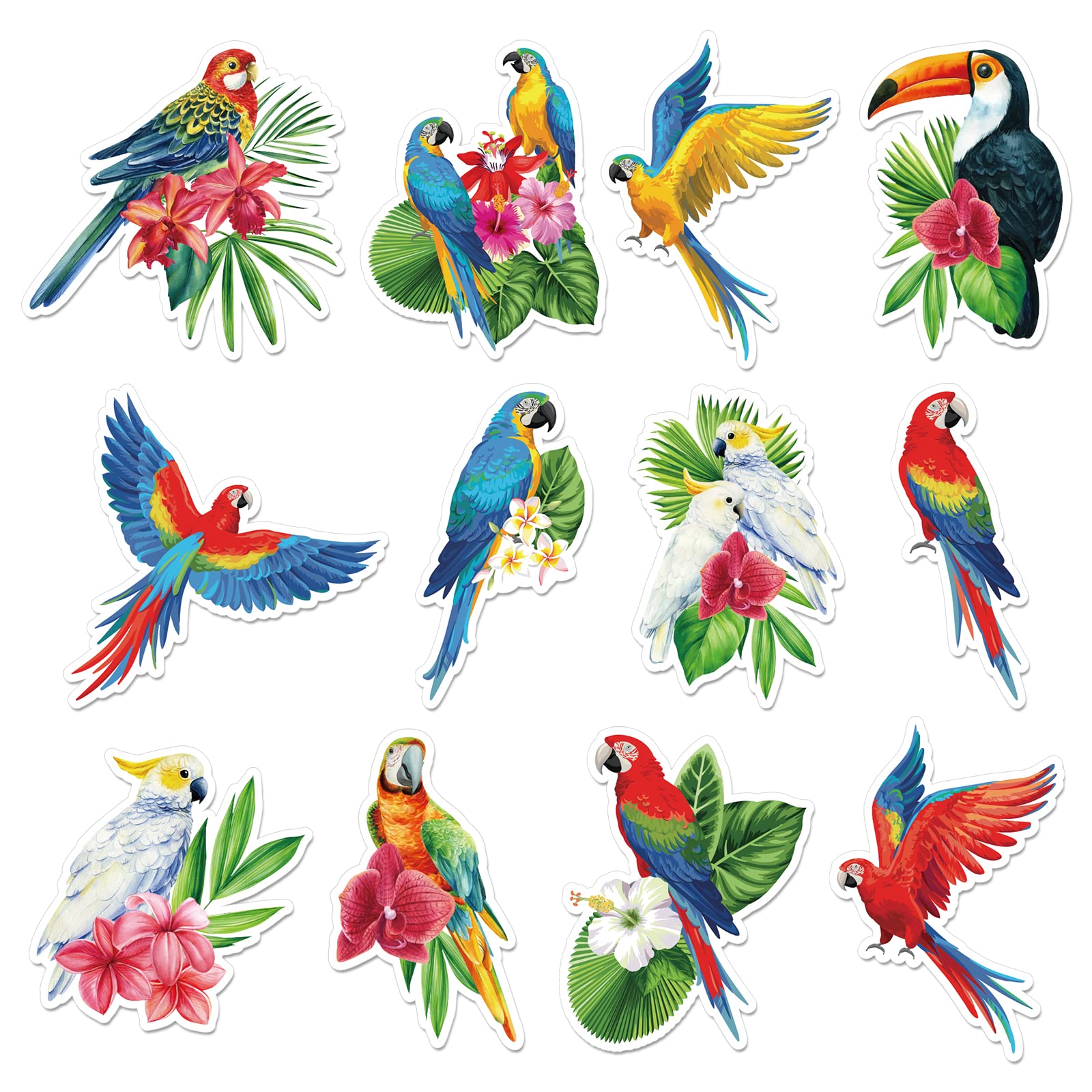 Jungle Birds Pictures 140 Beauty Of Birds Jungle Birds Ideas