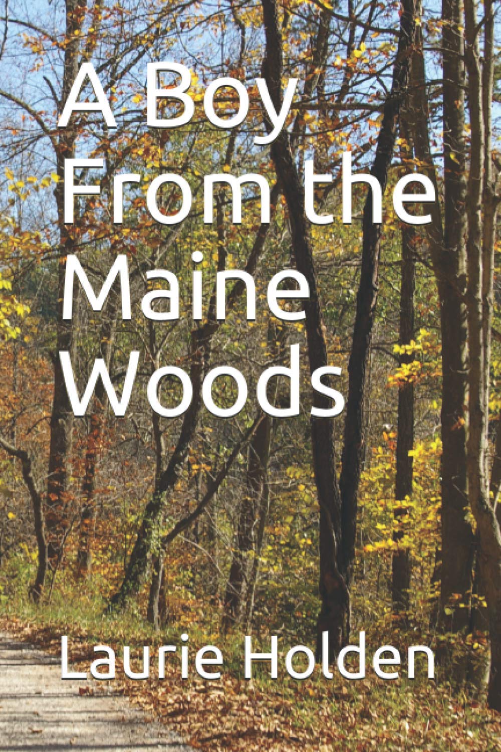 A Boy From the Maine Woods: Holden, Laurie: 9798689718026: Amazon.com ...