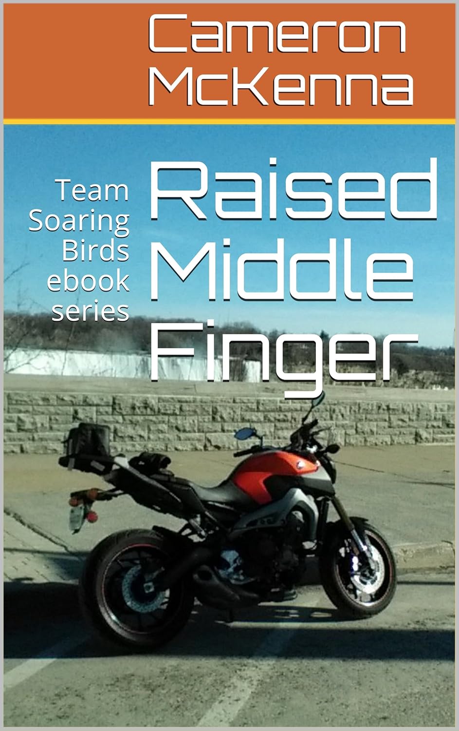Raised Middle Finger: Team Soaring Birds ebook series eBook : McKenna ...