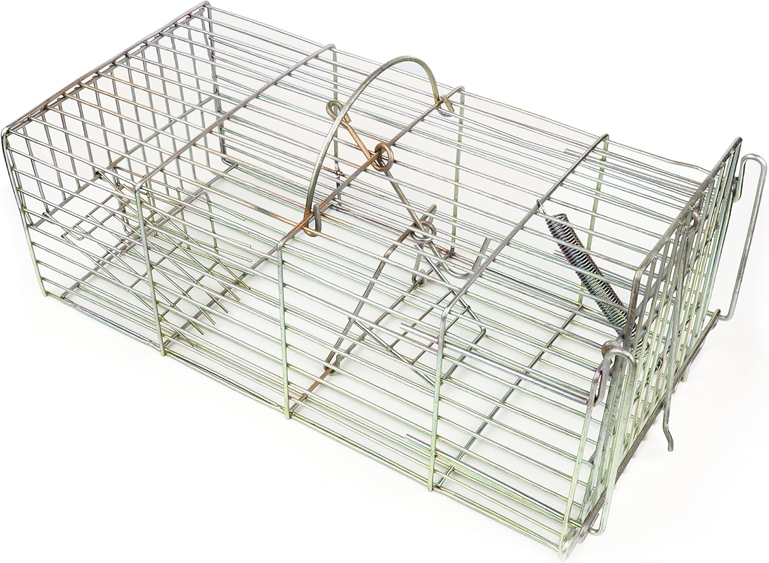 RatKil Rat Cage & Squirrel Trap - Large, Heavy Duty Rodent, Rat Trap ...