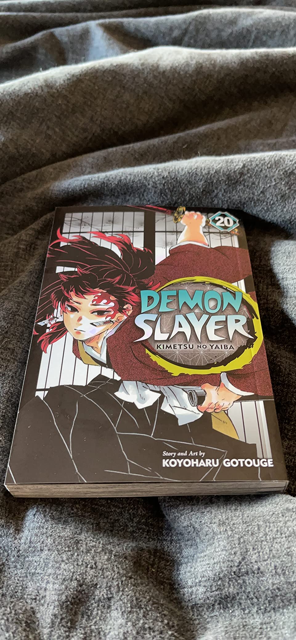 Demon Slayer Kimetsu no Yaiba Vol. 20 0: Volume 20 : Gotouge, Koyoharu ...