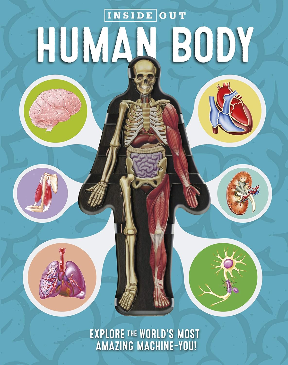 Inside Out Human Body: Explore the World's Most Amazing Machine-You ...
