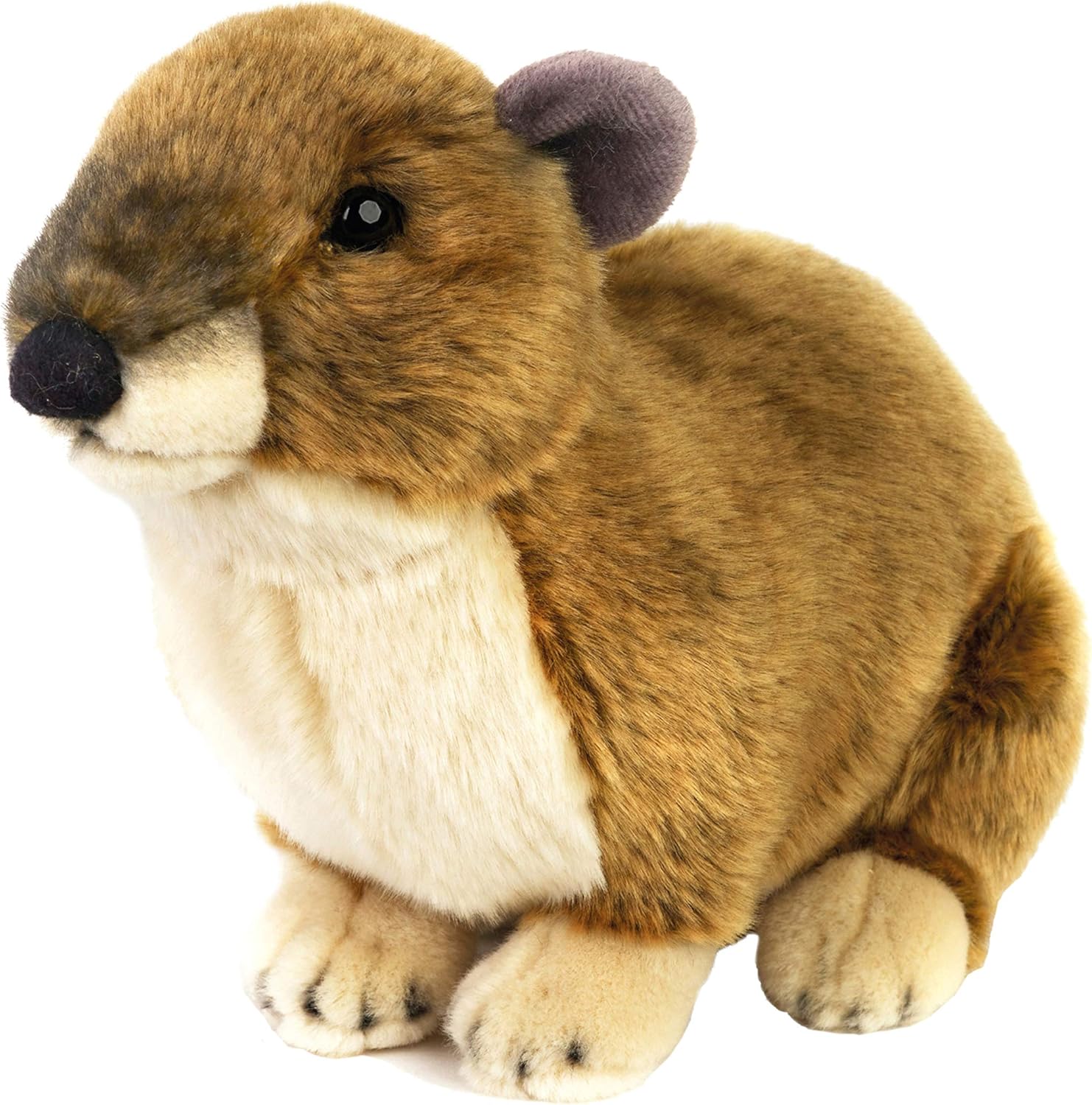 Amazon.com: National Geographic Rock Hyrax Plush, Brown : Toys & Games