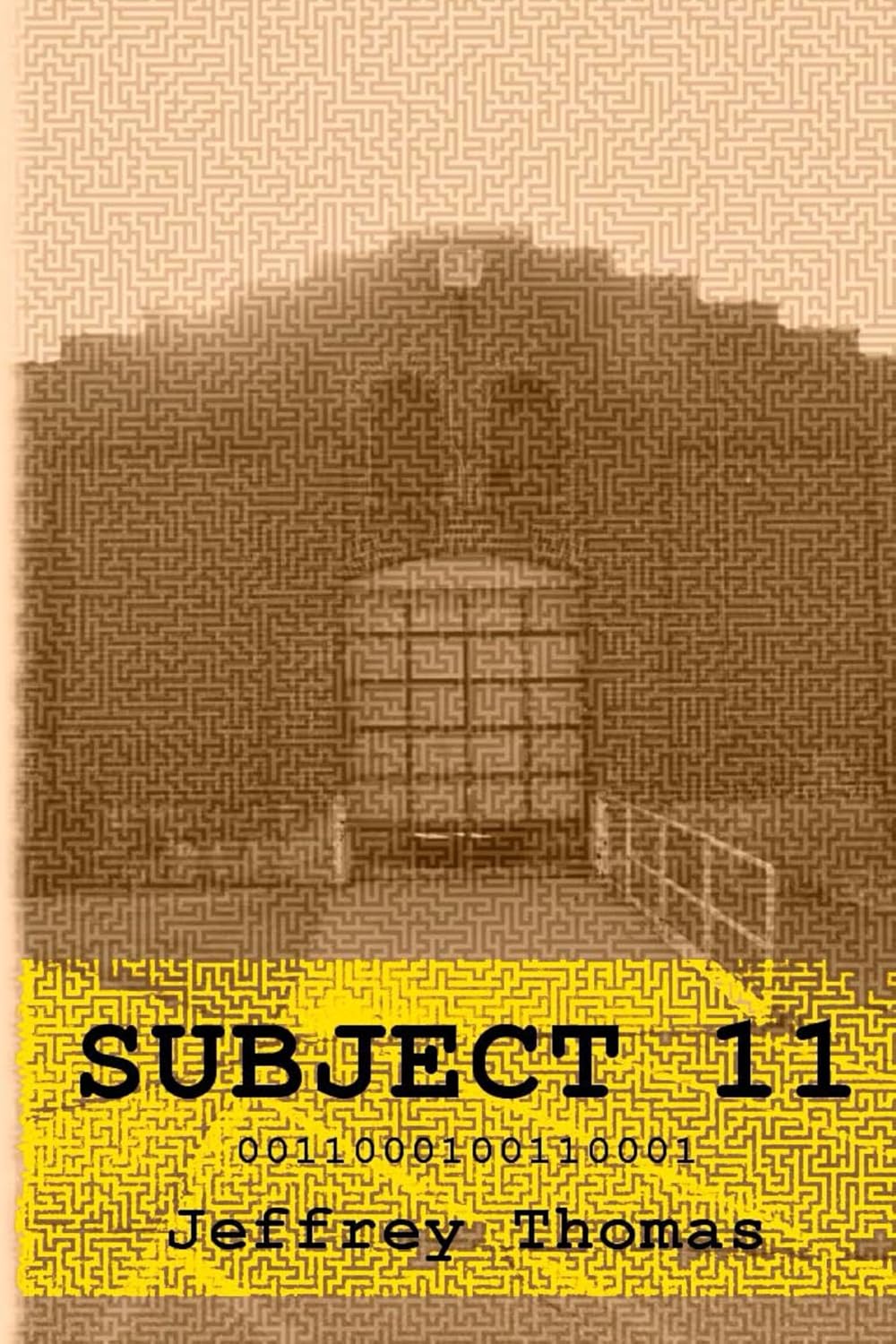 Subject 11 - Kindle edition by Thomas, Jeffrey. Literature & Fiction ...