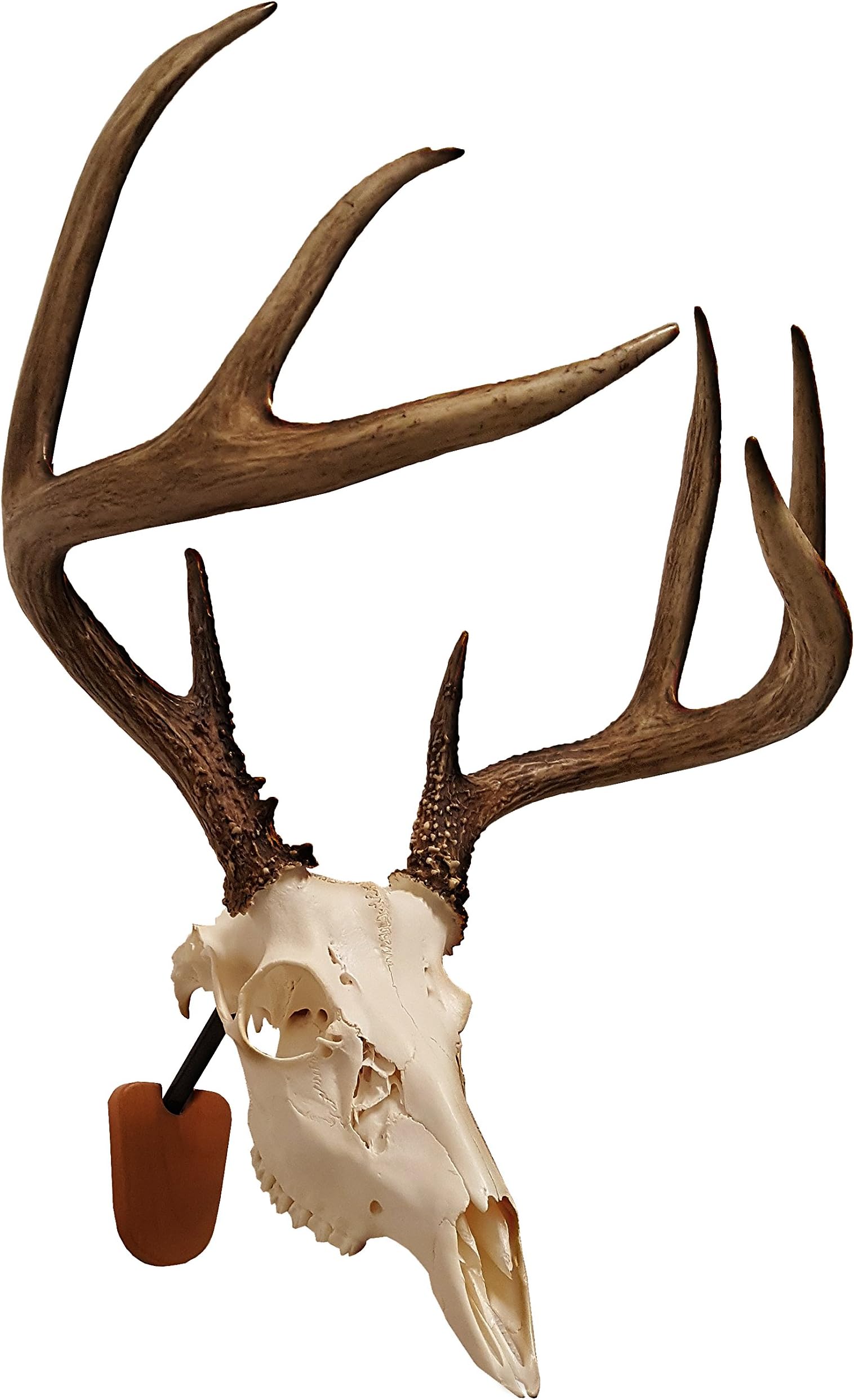 Amazon.com: Do-All Outdoors Dead Deer Iron Buck, Small,Silver : Sports ...