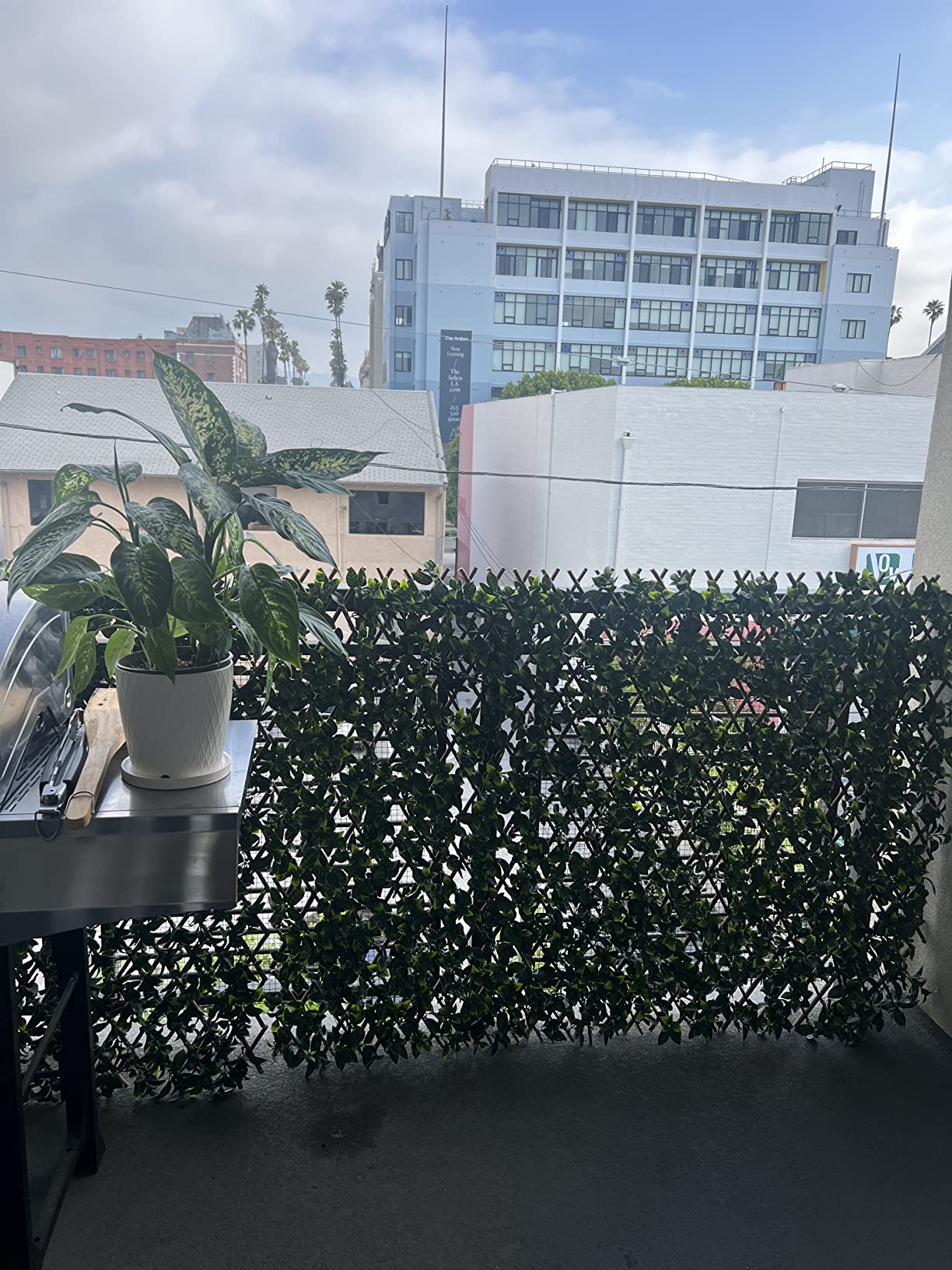 $28/mo - Finance ColourTree 2PC Expandable Retractable Gardenia Leaf ...