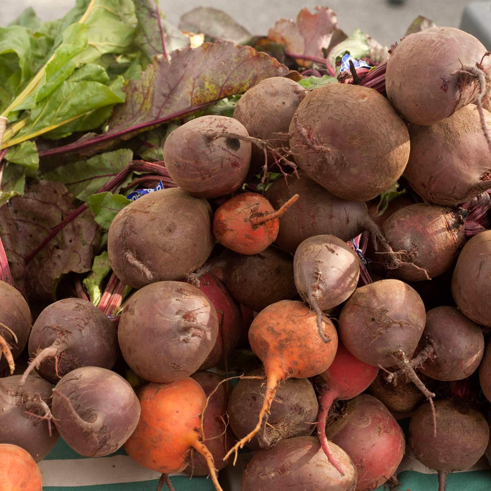 Amazon.com : Organic Detroit Mix Beet Garden Seeds - 1 Oz - (Mix of ...