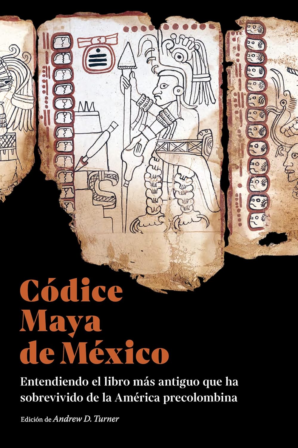 Códice Maya de México: entendiendo el libro más antiguo que ha ...