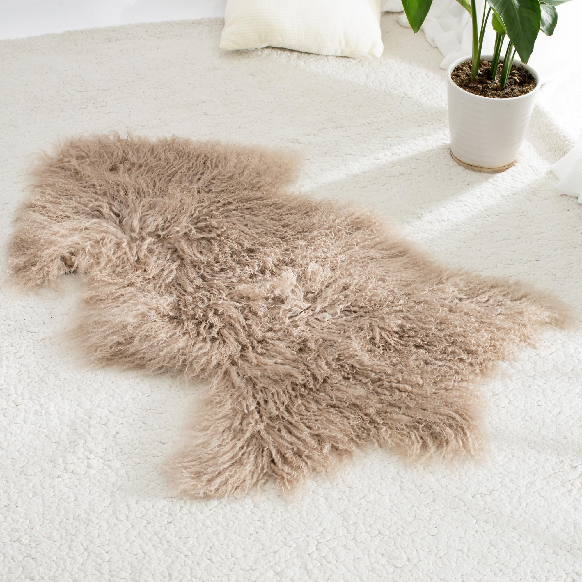 Amazon.com: CloudDwelling 100% Genuine Sheepskin Area Rug Real ...