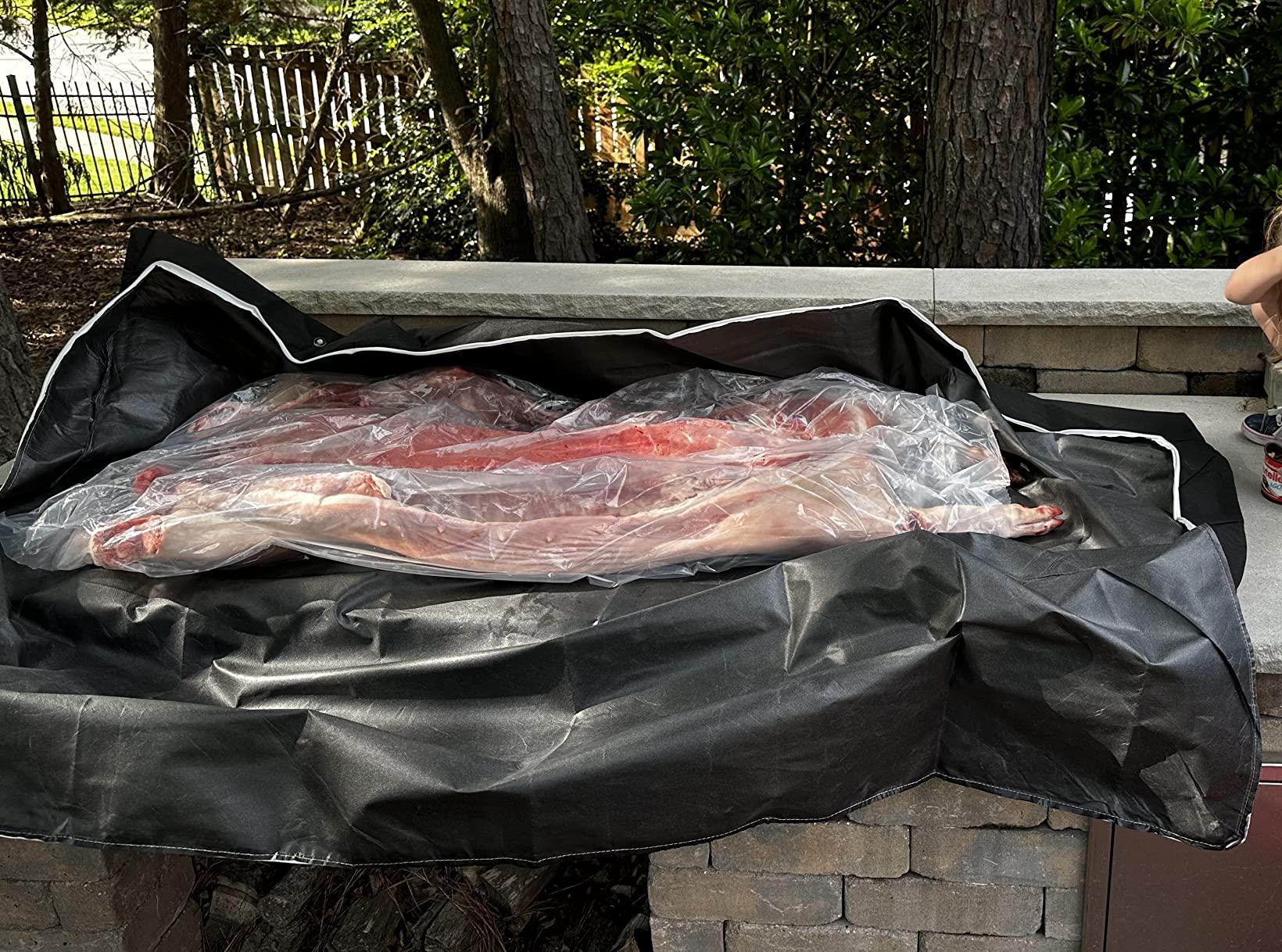 Amazon.com: Emergency Cadaver NonwovensBody Bag Stretcher Combo,with ...