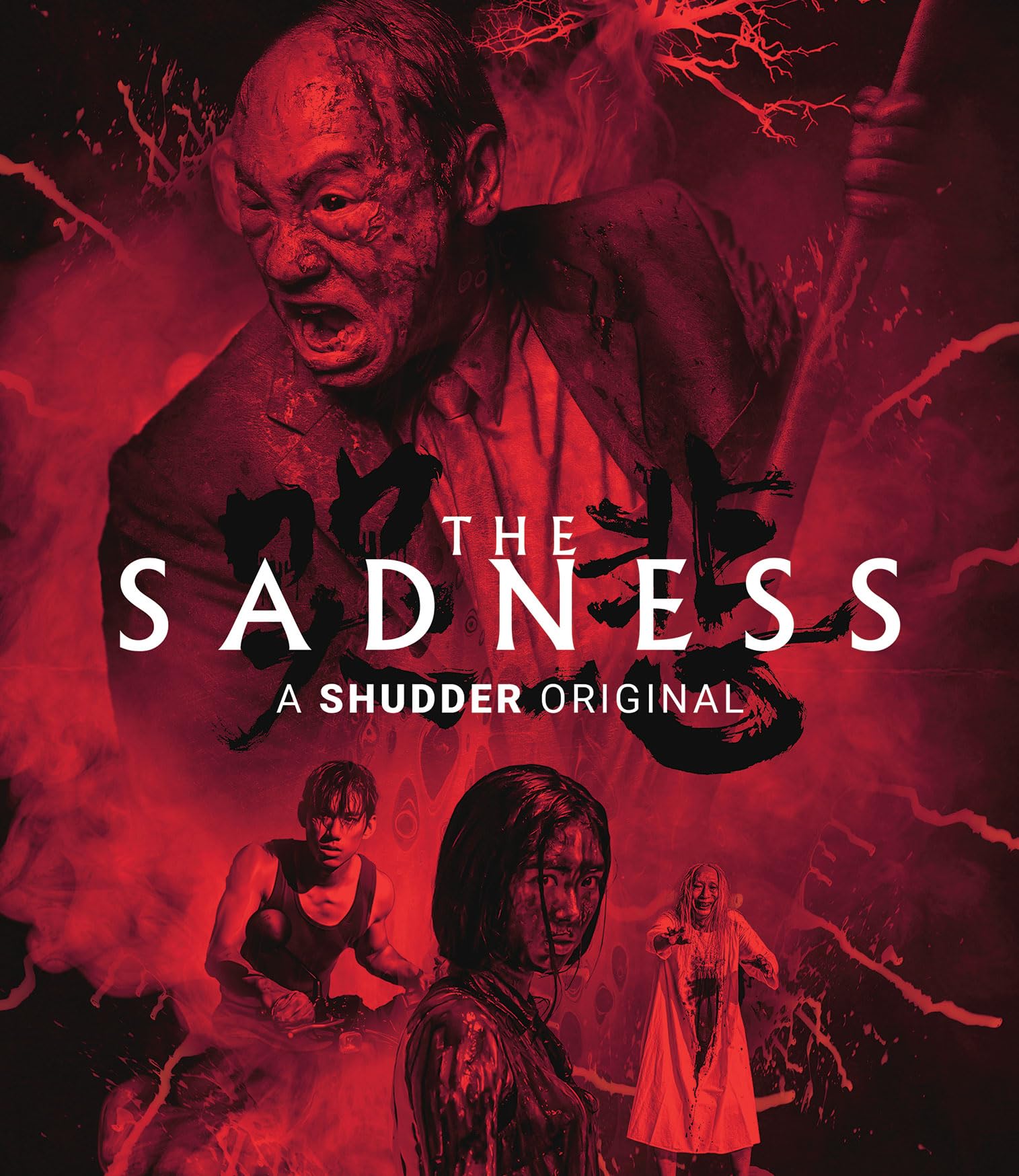 Amazon.com: The Sadness [4K Ultra HD + Blu-ray Set] : Rob Jabbaz ...