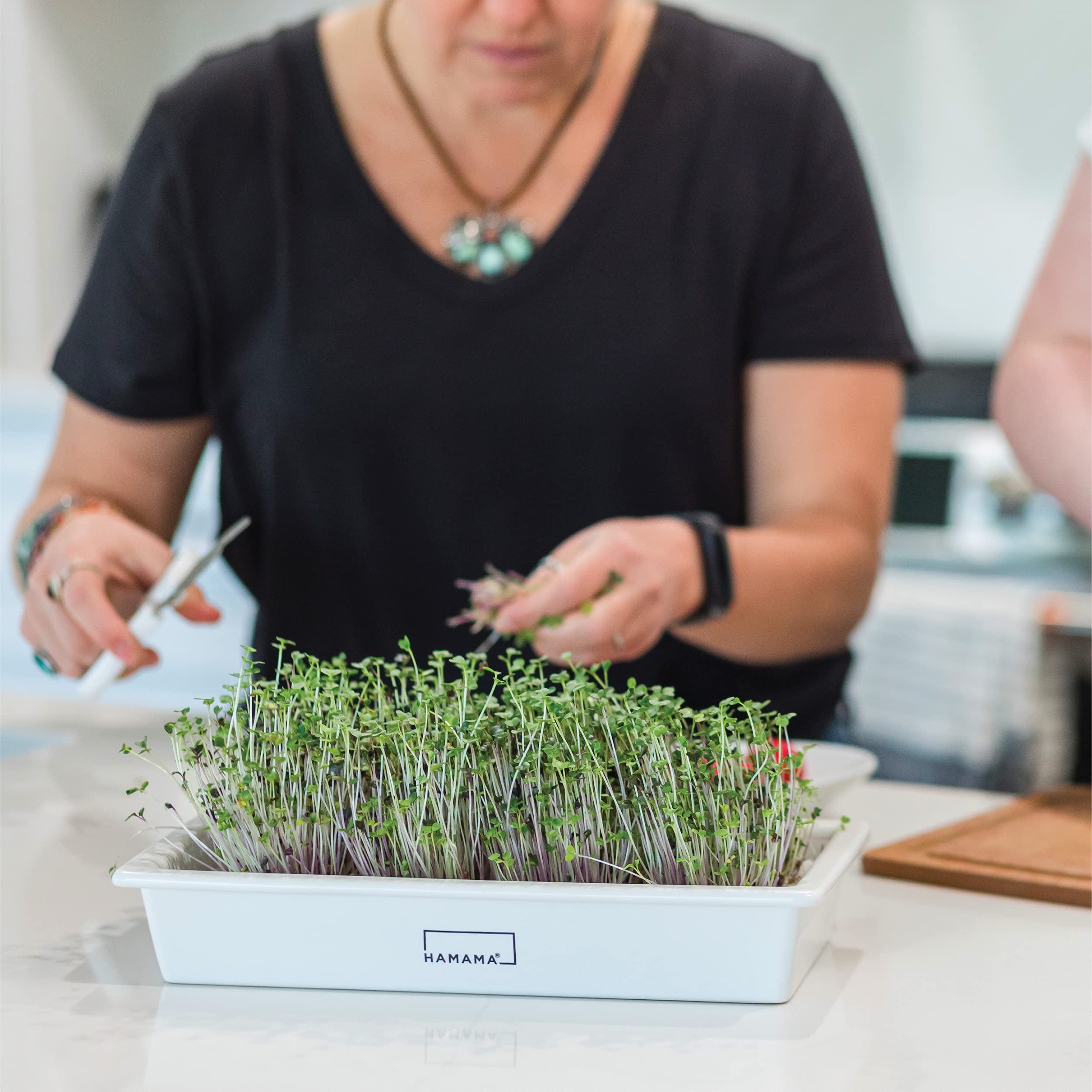 hamama greens kit, hamama microgreens – NVRCQ