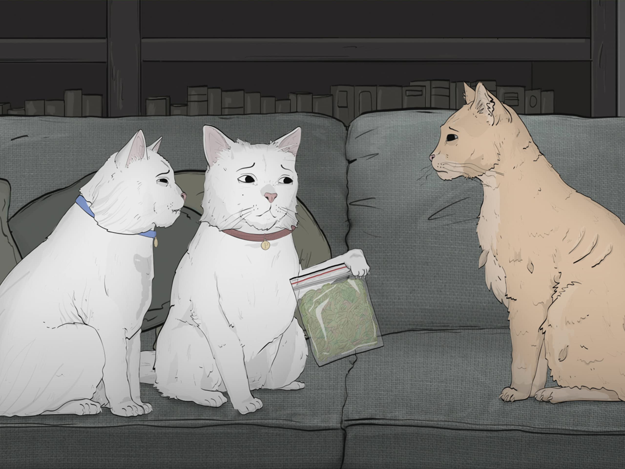 Watch ANIMALS - Season 1 | Prime Video