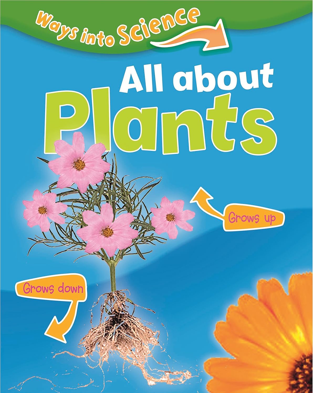 Ways Into Science: All About Plants: Riley, Peter: 9781445134703 ...
