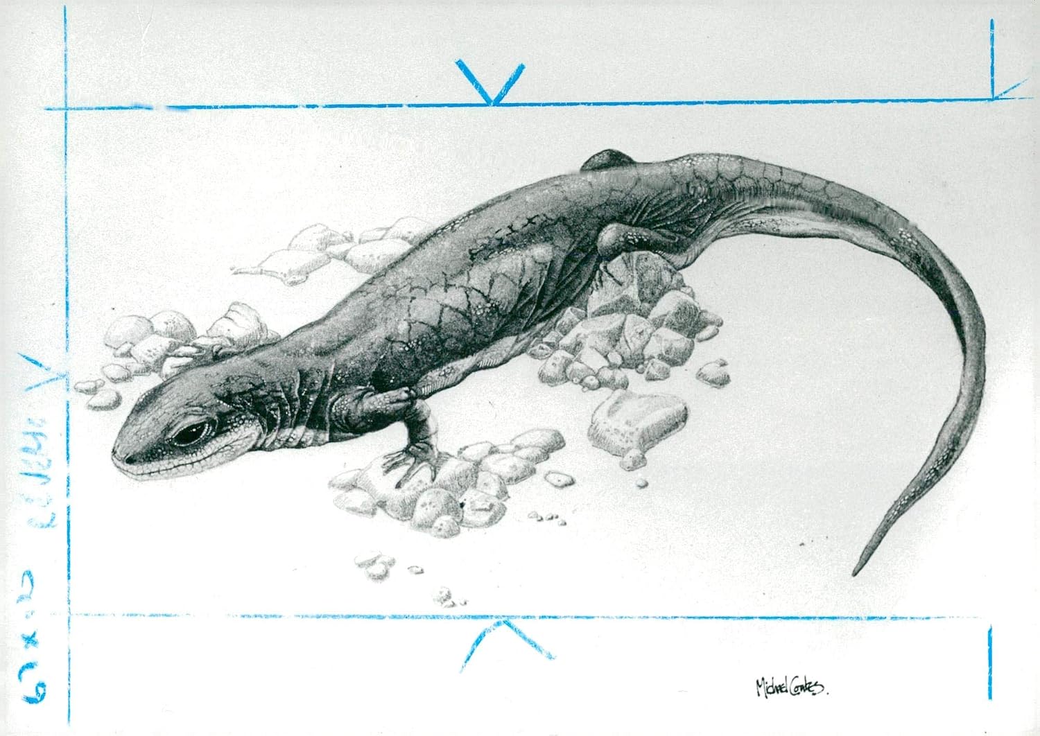 Amazon.com: Vintage photo of Reconstruction of the oldest reptile of ...