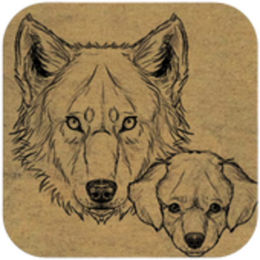 How to Draw Animals - App on Amazon Appstore