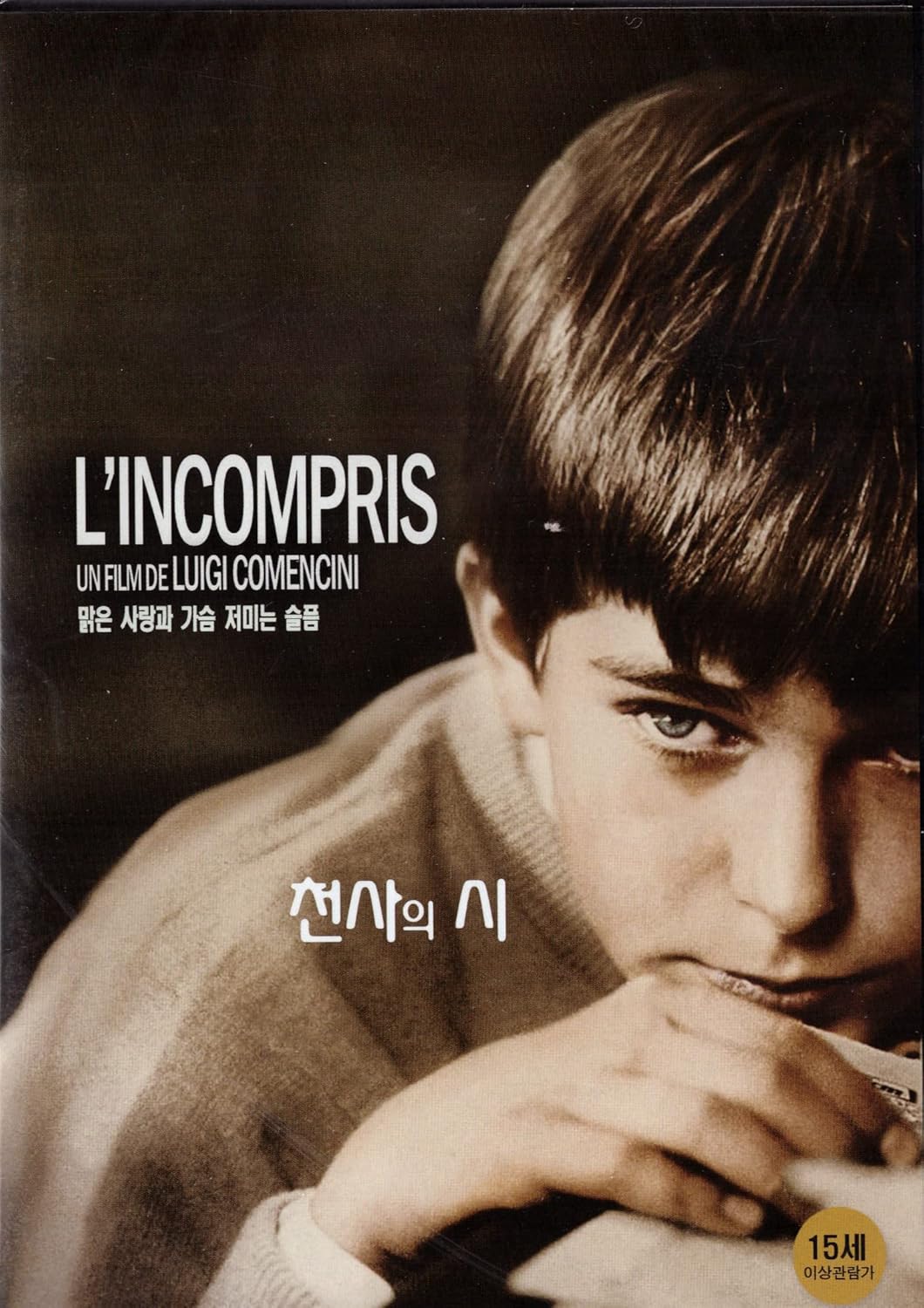 Amazon.com: L'Incompris (Incompreso) (Misunderstood) : Giuseppe ...