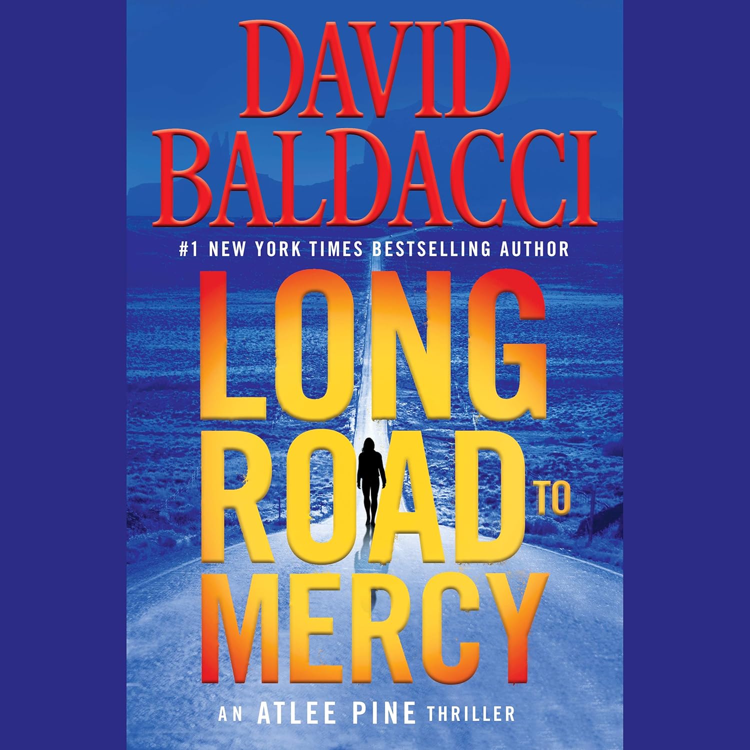 Amazon.com: Long Road to Mercy (Audible Audio Edition): David Baldacci ...
