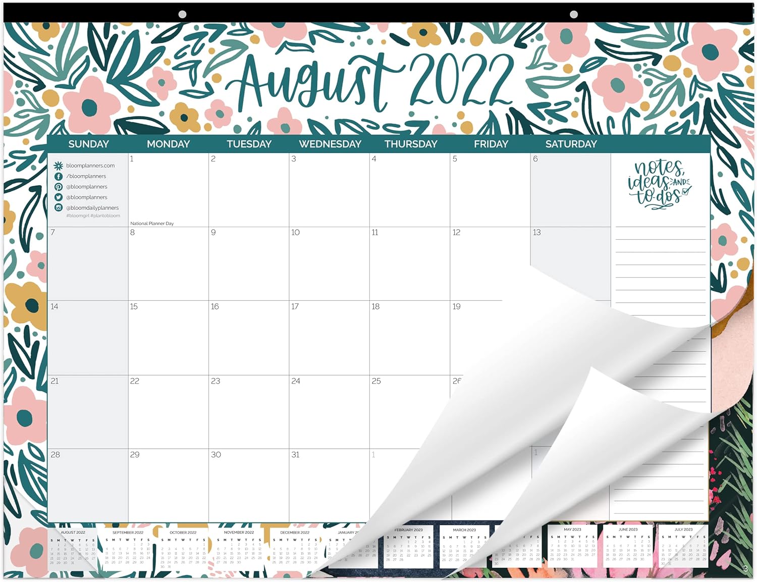 Amazon.com : bloom daily planners 2022-2023 Academic Year Desk or Wall ...
