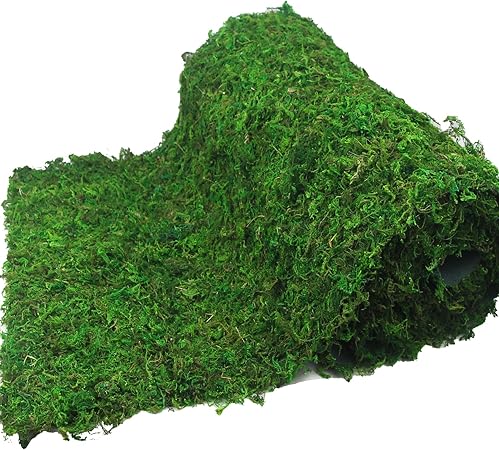 Amazon.com: FAICOIA Moss Table Runner Green Moss Roll for Fairy Gardens ...