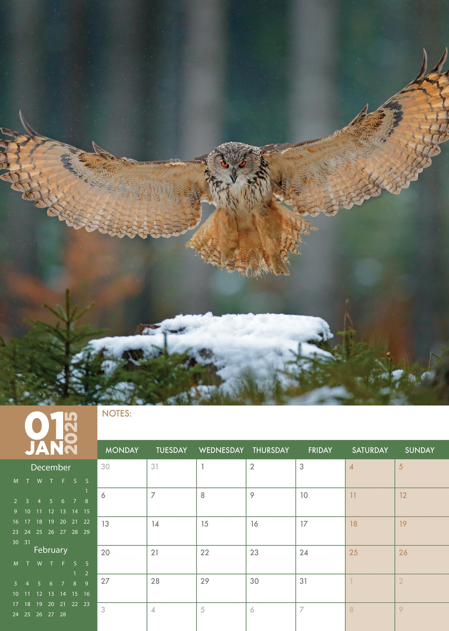 Owls 2025 – A3 Size Wirobound Calendar – BigaMart