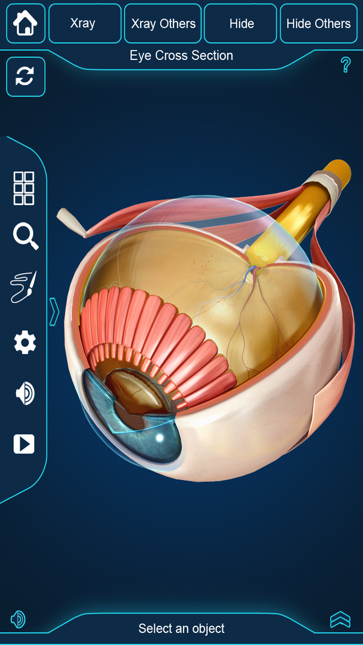 My Eye Anatomy - App on the Amazon Appstore