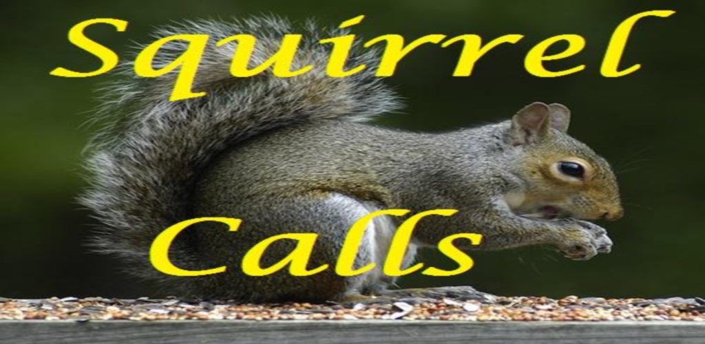 Squirrel Calls:Amazon.co.uk:Appstore for Android