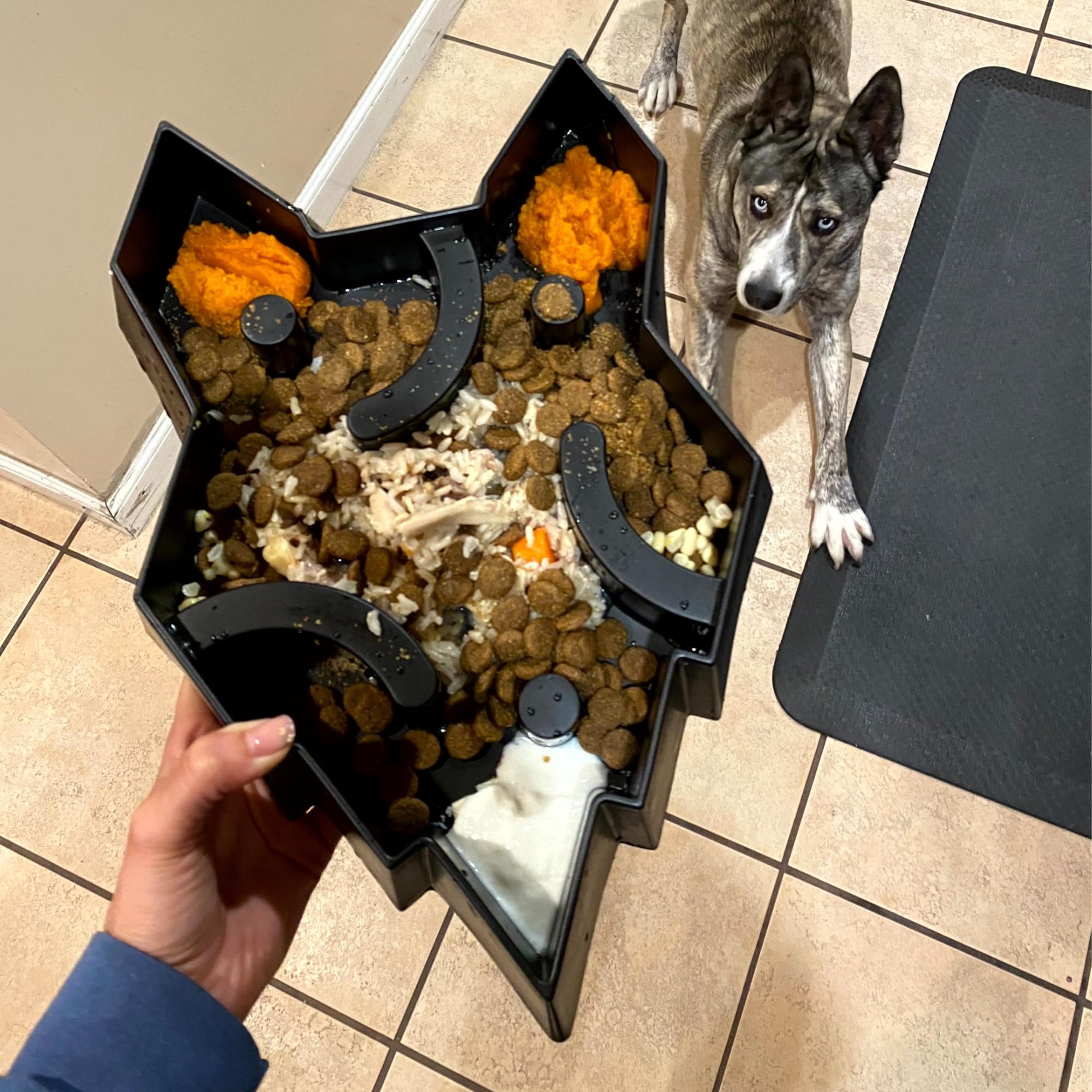 Snapklik.com : Large Slow Feeding Interactive Enrichment Puzzle Bowl ...