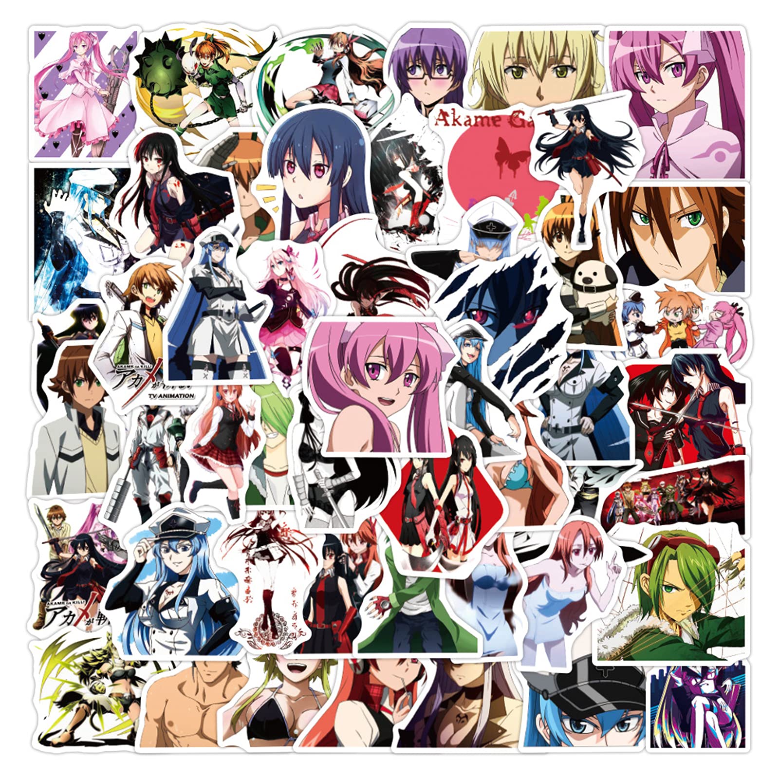 Buy Anime Akame ga KILL! Stickers 50PCS Japanese Anime Itadori Figure ...