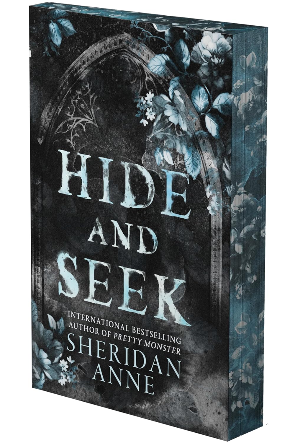 Amazon.com: Hide and Seek: A Dark Stalker Romance: 9798347036196: Anne ...