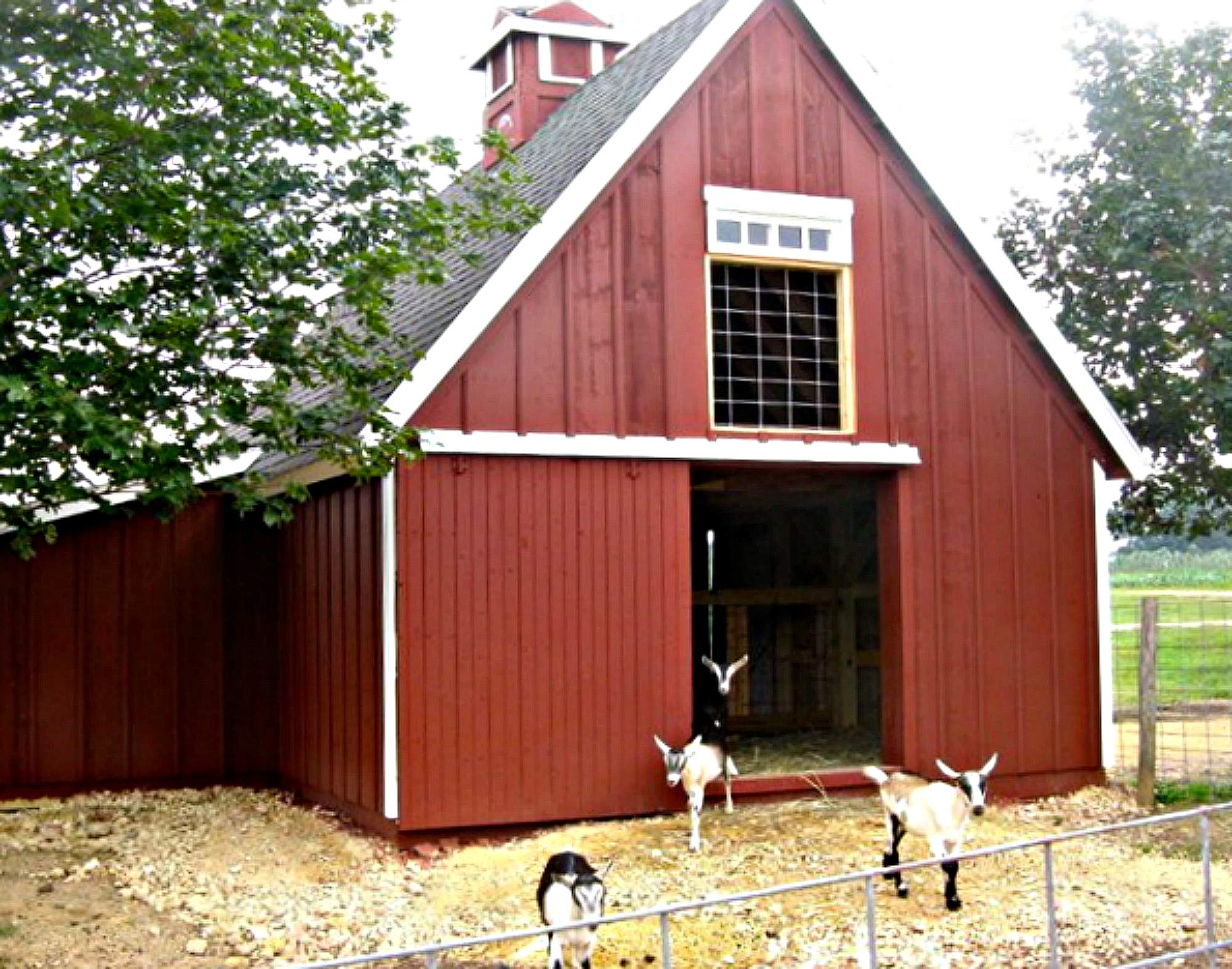 Inside Barn Designs