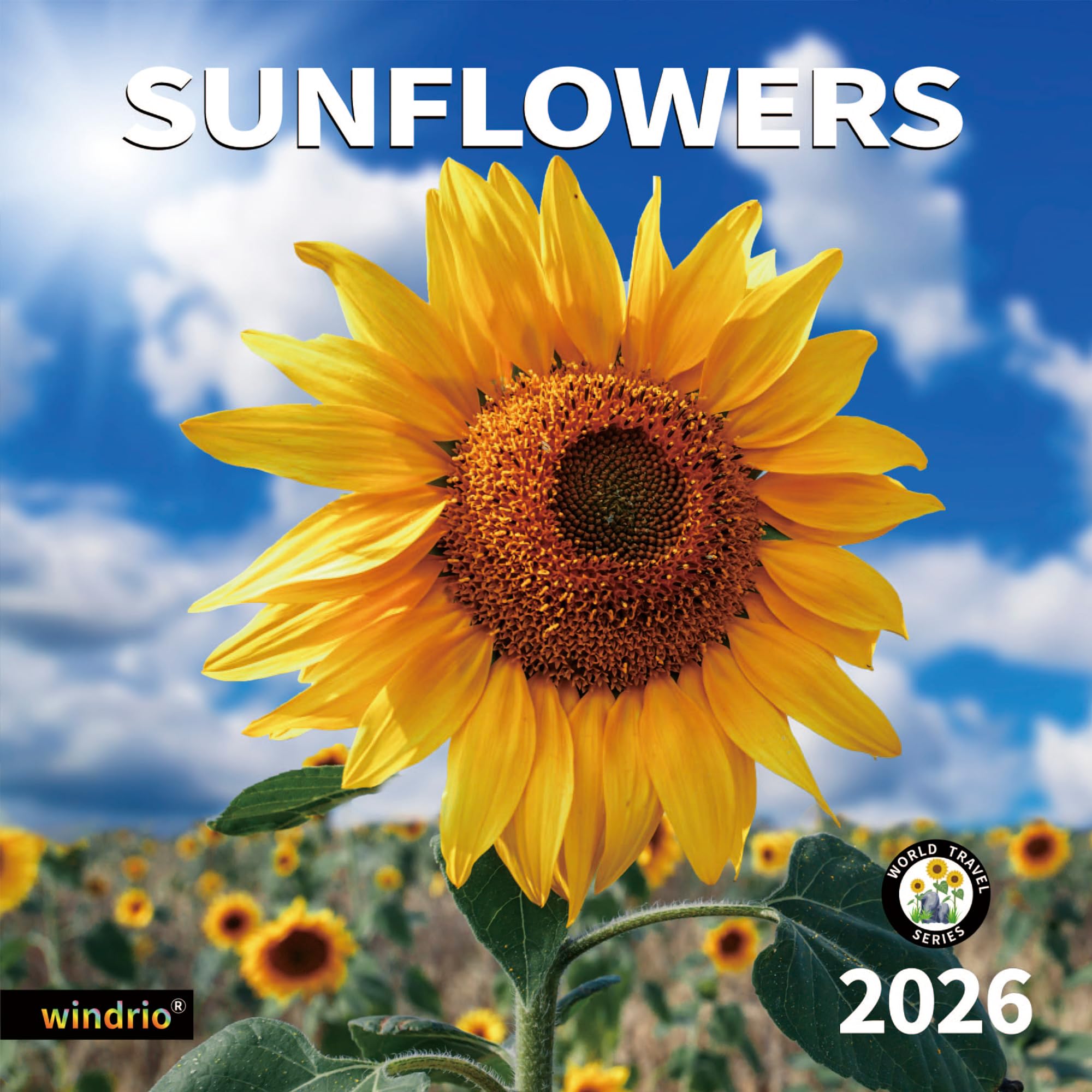 Snapklik.com : 2026 Wall Calendar,Calendar 2026, July 2025 - December ...