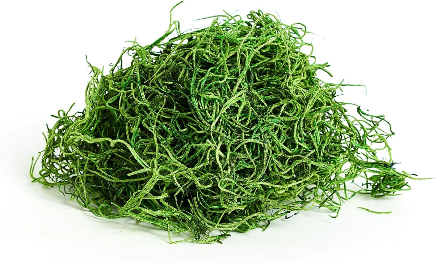 Amazon.com: Shop Succulents | Spanish Moss Preserved Floral Moss for ...