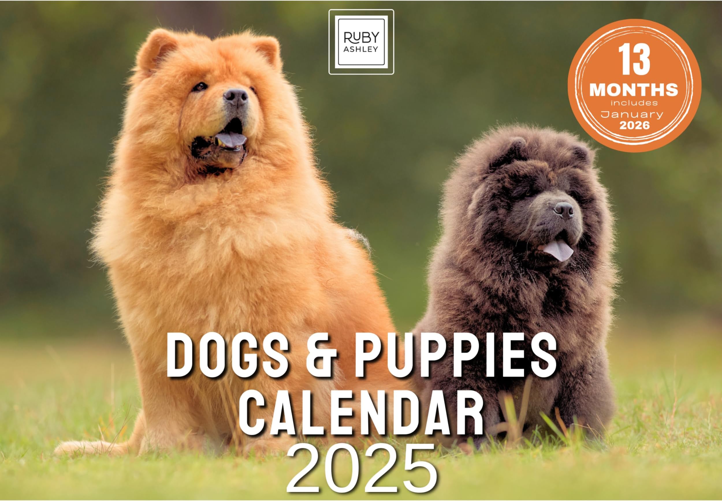 Calendar 2025 Dogs & Puppies - Space For Notes Across 13 Months ...